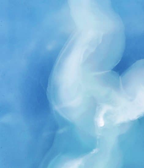 Cloud Whisper - SolidNature