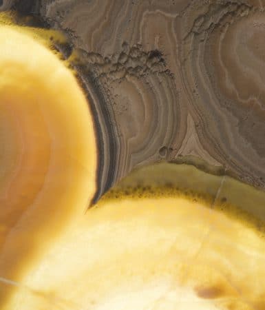 Hazel Honey - SolidNature