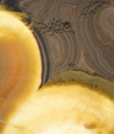 Hazel Honey - SolidNature