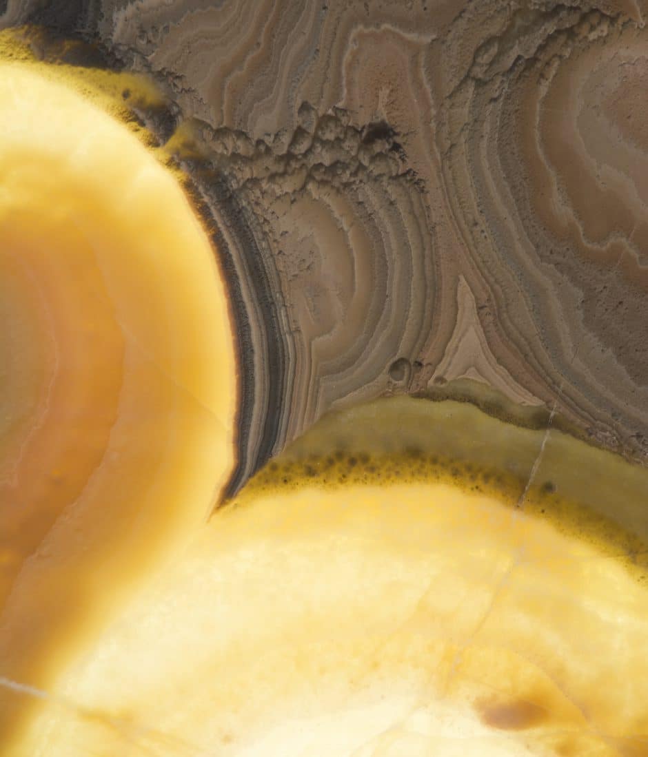 Hazel Honey - SolidNature