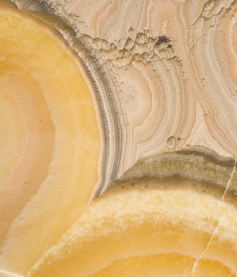 Hazel Honey - SolidNature