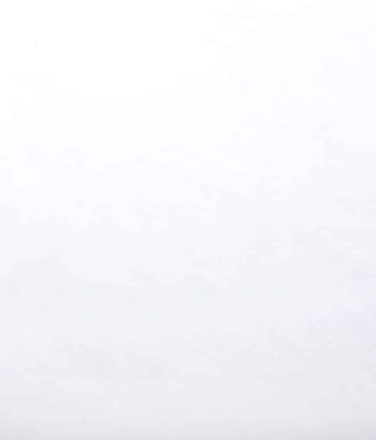 Lilium White - SolidNature