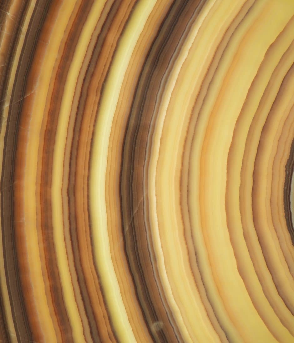 Sunny Wink - SolidNature