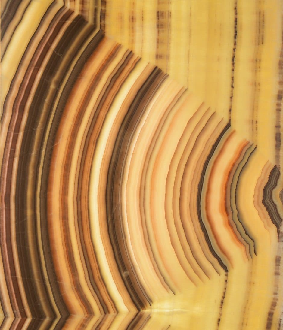 Sunny Wink - SolidNature