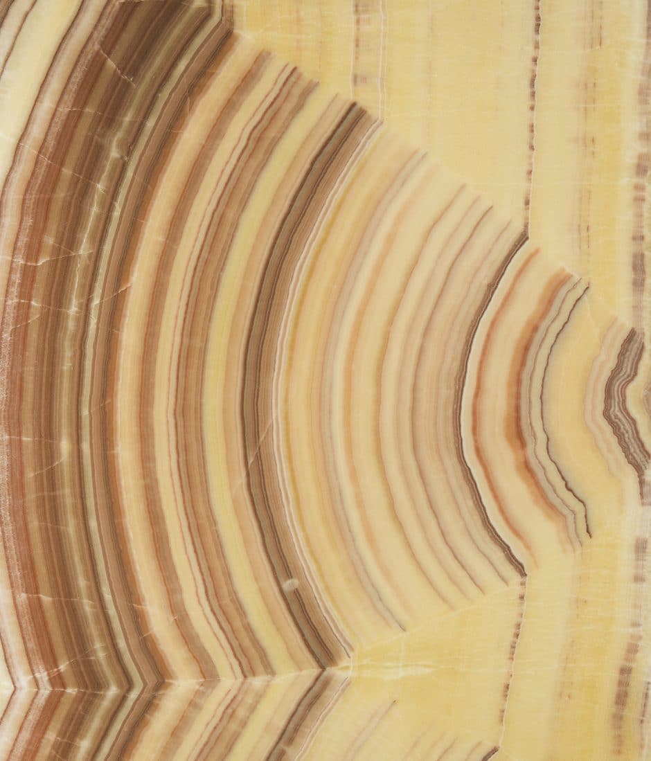 Sunny Wink - SolidNature