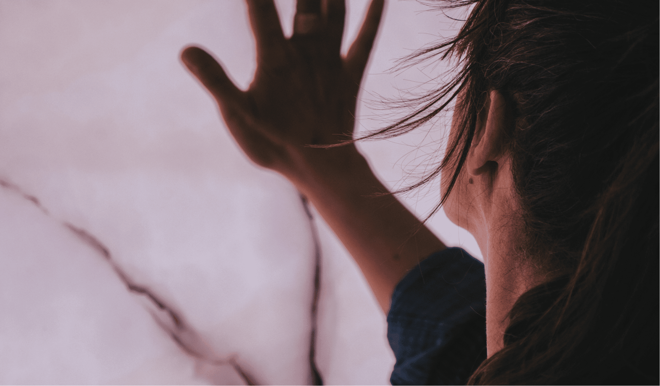 Collaborations Archive - SolidNature