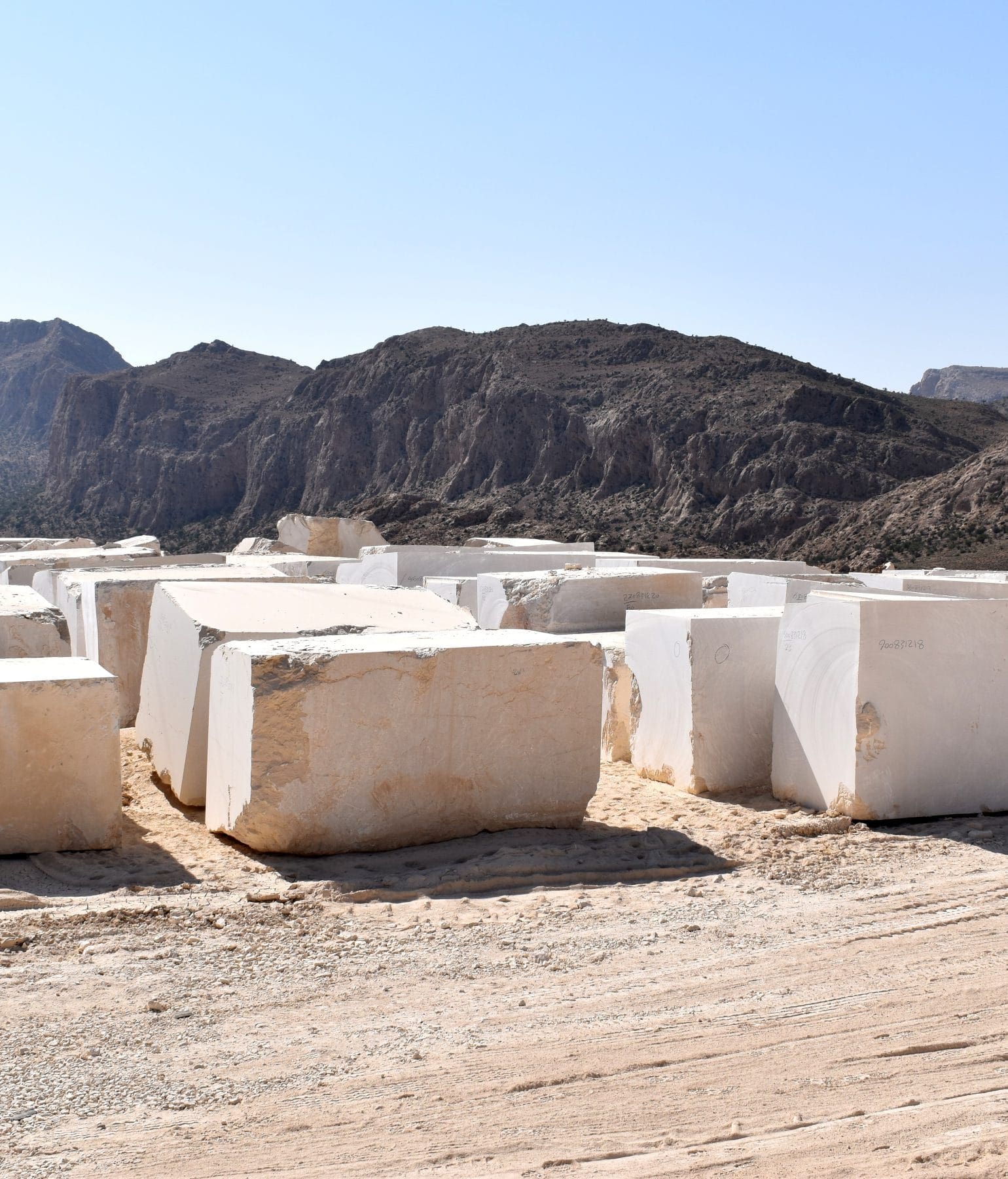 Service and Innovation - SolidNature