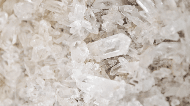 SolidNature X Ward Strootman - SolidNature