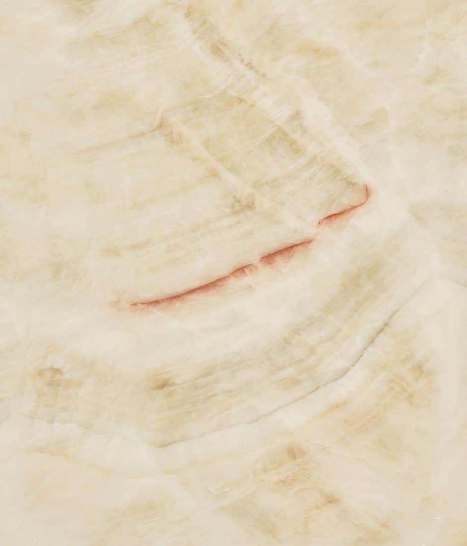 Impala - SolidNature