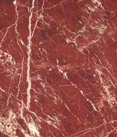 Red Monarch - SolidNature